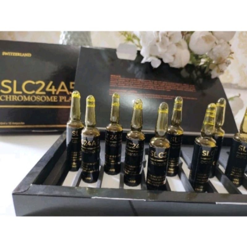 Jual Original Platinum slc chromosome slc24a5 | Shopee Indonesia