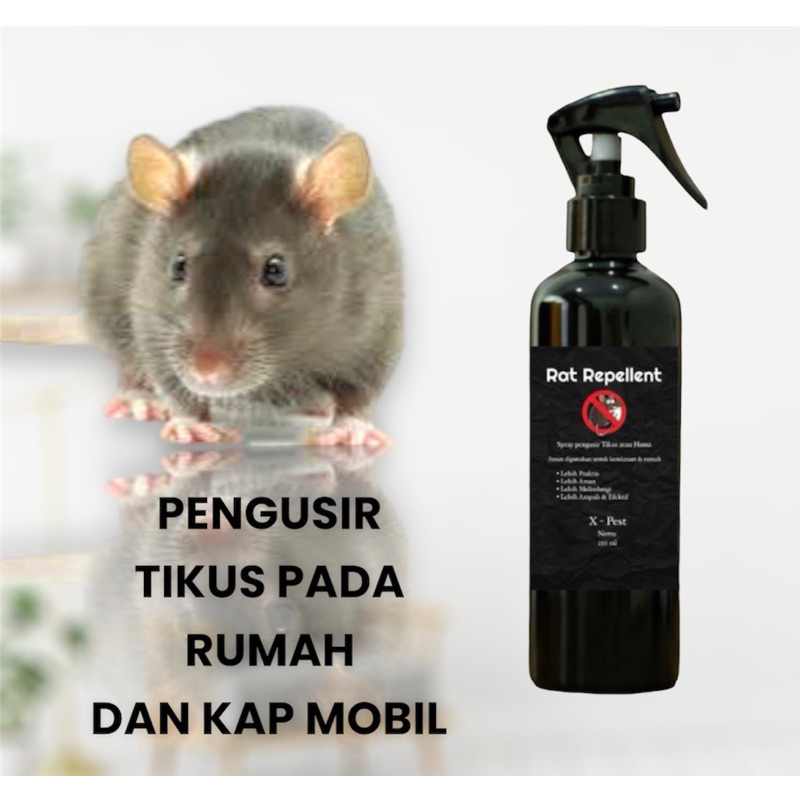 Jual Rat Repellent/Pengusir Tikus/Cairan Anti Tikus Mobil 250ml ...