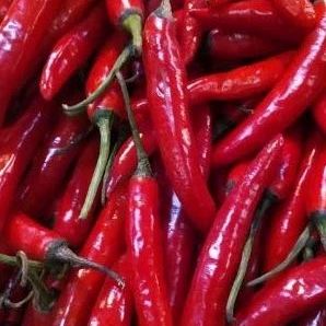 Jual Cabe merah besar/ TW merah 500gram | Shopee Indonesia