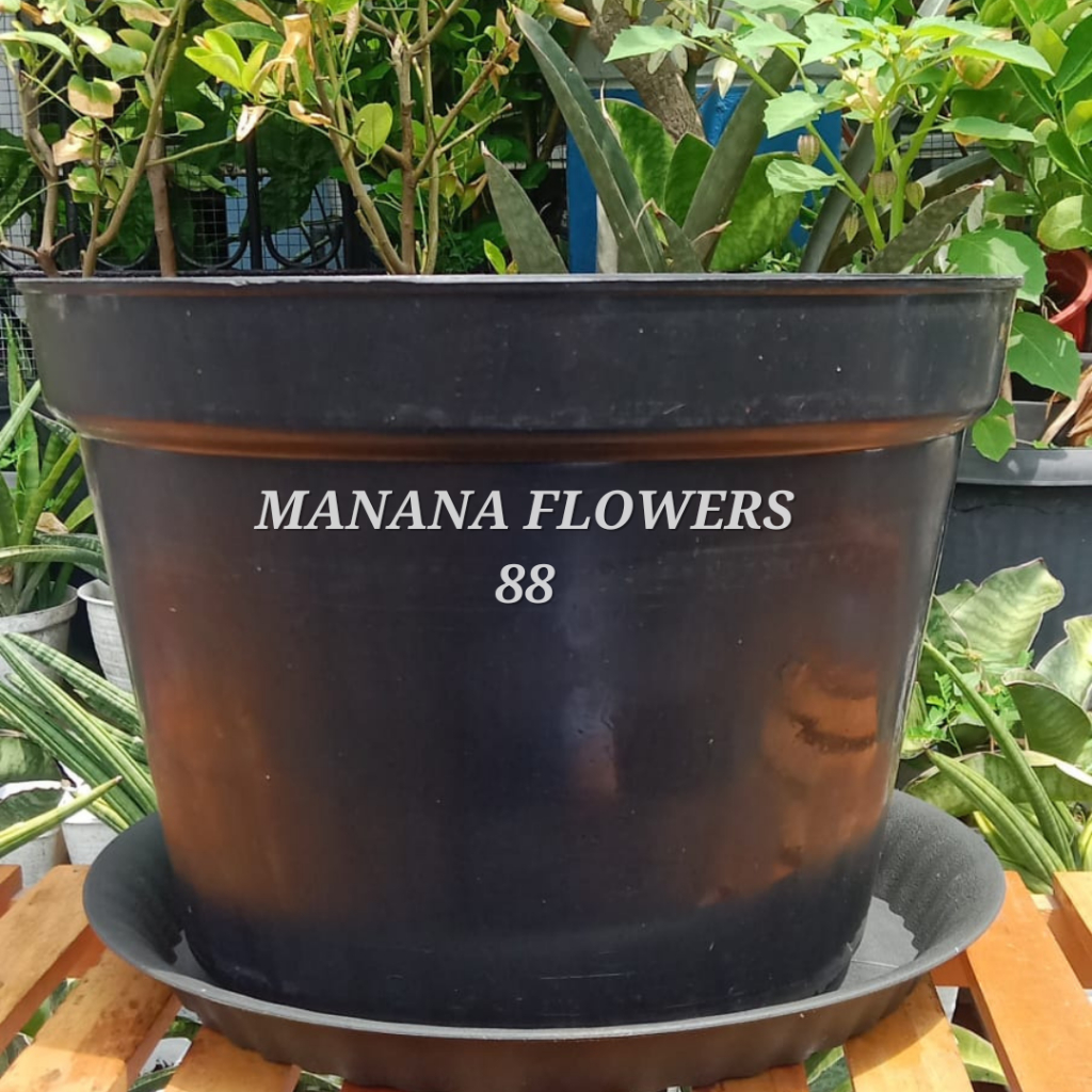 Jual POT HITAM 40 CARGO/ POT BUAH/ POT BUNGA/ POT TANAMAN/ POTJUMBO ...