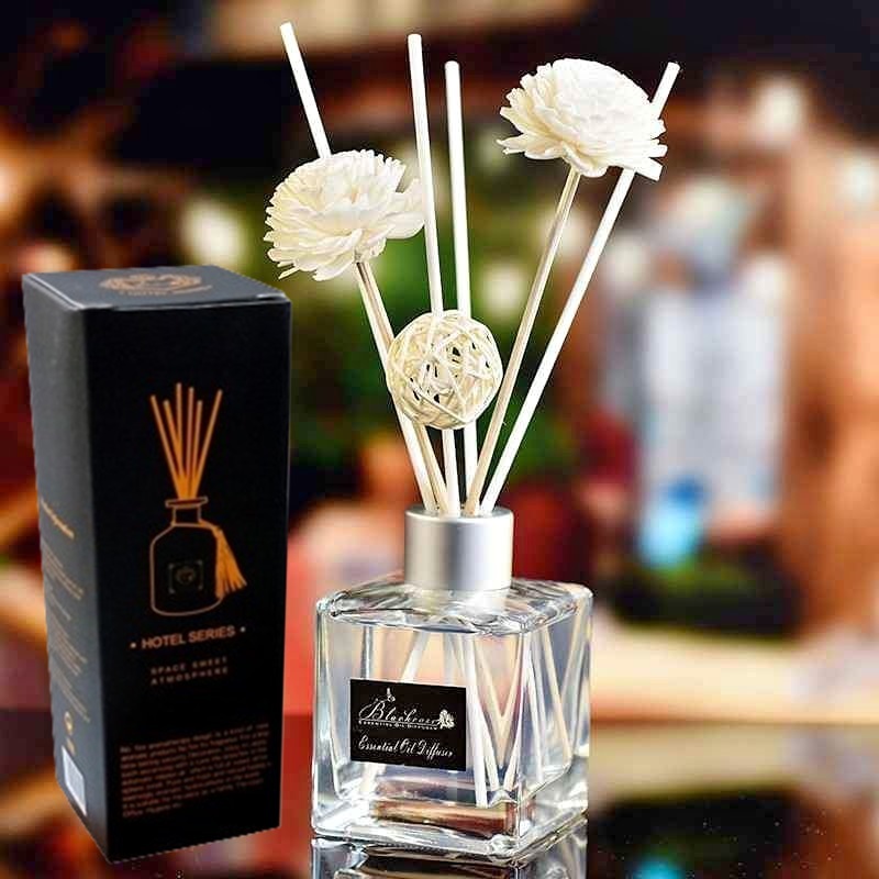 Jual Reed Diffuser Aromaterapi Pengharum Ruangan Aesthetic | Shopee ...