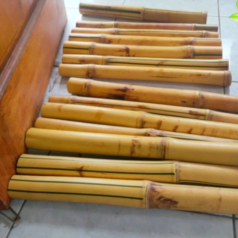 Jual promo potongan bambu kuning panjang 40 cm | Shopee Indonesia