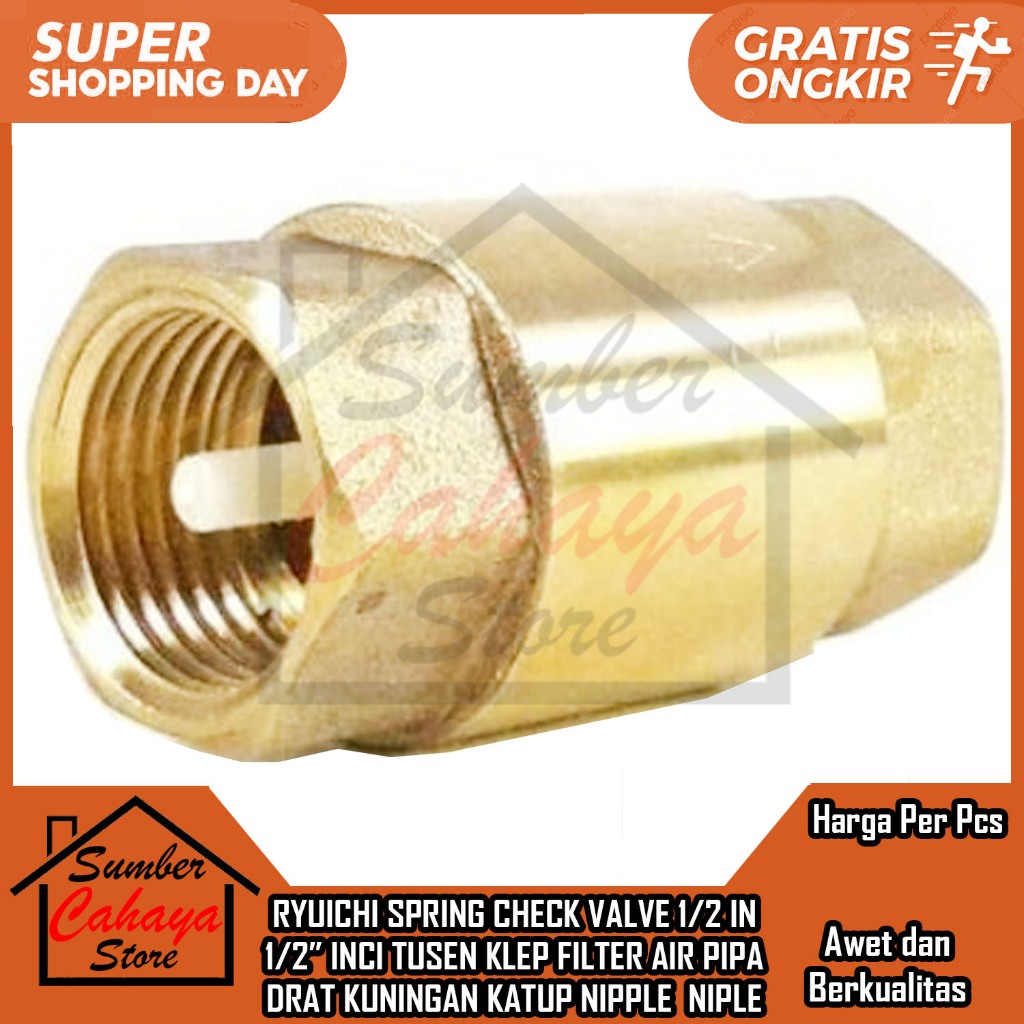 Jual Ryuichi Spring Check Valve 1/2” In Inci Inch Inchi Tusen Klep ...