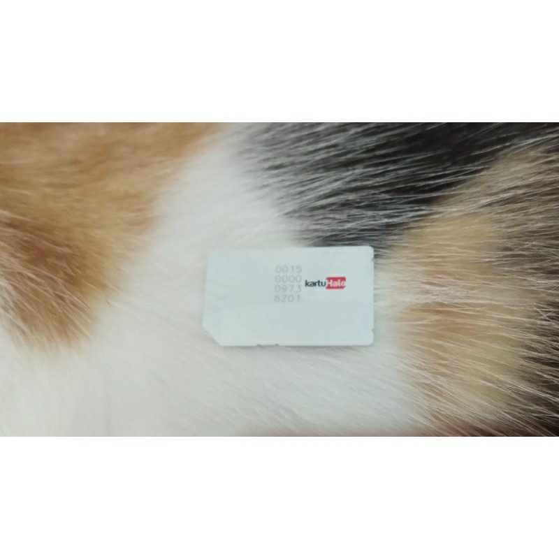 Jual SIM CARD bank 009 | Shopee Indonesia