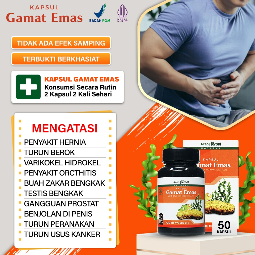Jual Obat Kapsul Gamat Emas Turun Berok Benjolan Di Buah Zakar Hernia ...
