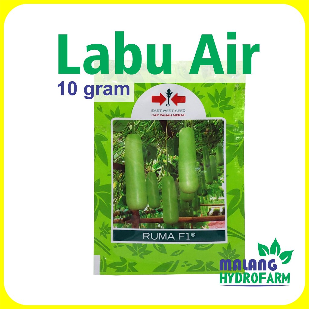 Jual Benih Labu Air Ruma F1 10 gram Cap Panah Merah dataran rendah ...