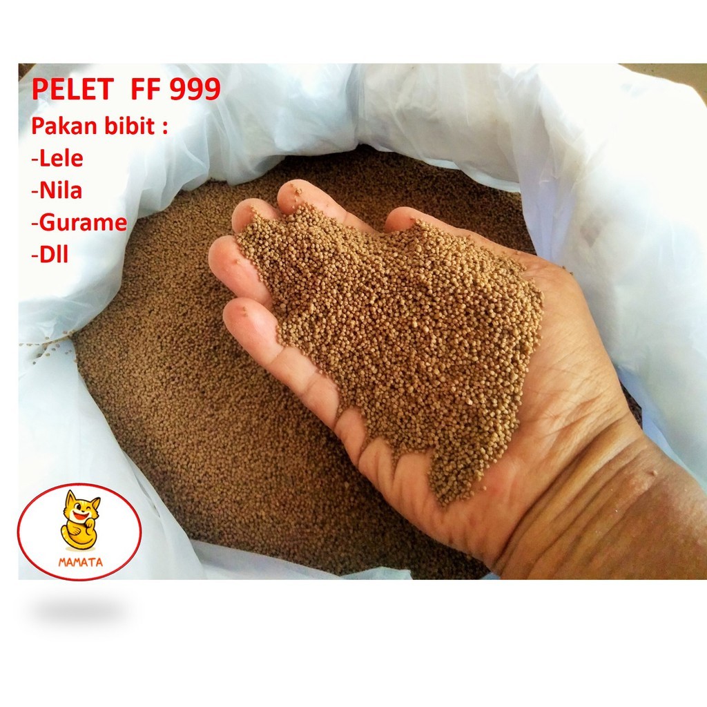Jual Pelet FF-999 Benih Ikan Gurame Nila Patin Lele Kemasan 250g ...