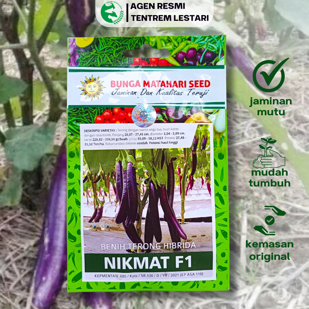 Jual Benih Terong Ungu 100 Biji NIKMAT F1 Asli Cap Bunga Matahari ...