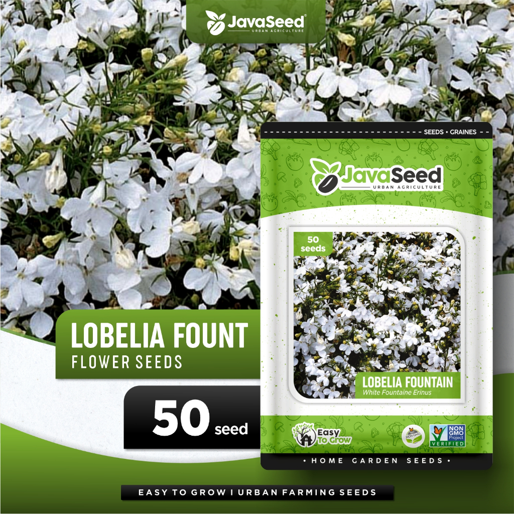 Jual JAVASEED - Benih Bunga Lobelia White Fountain Common 50 Benih ...