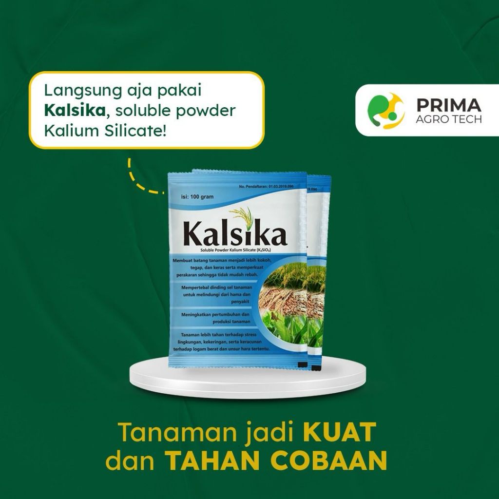 Jual Kalsika Pupuk Silika Kalium Silika Nutrisi Tanaman Penguat Batang ...