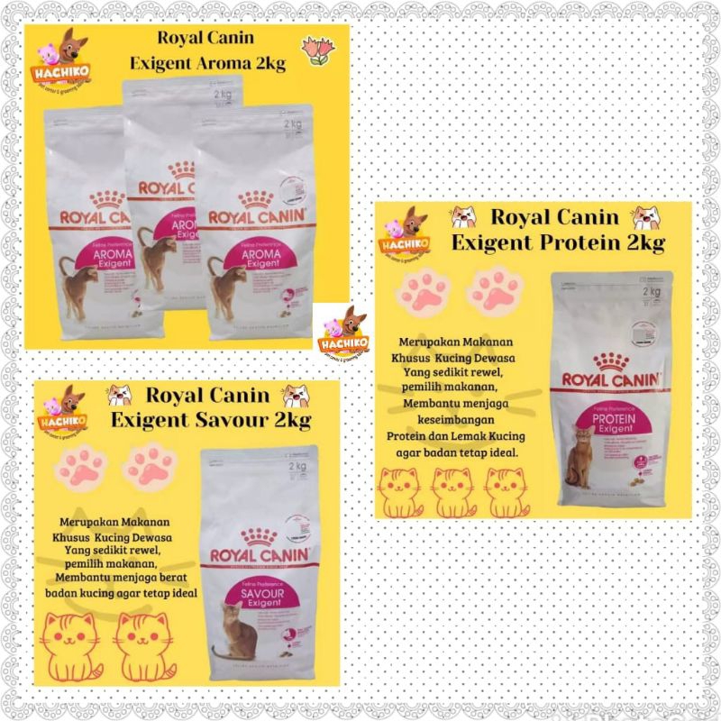 Jual Royal Canin Exigent 2kg (Aroma,Protein,Savour)/RC Exigent/RC Aroma ...