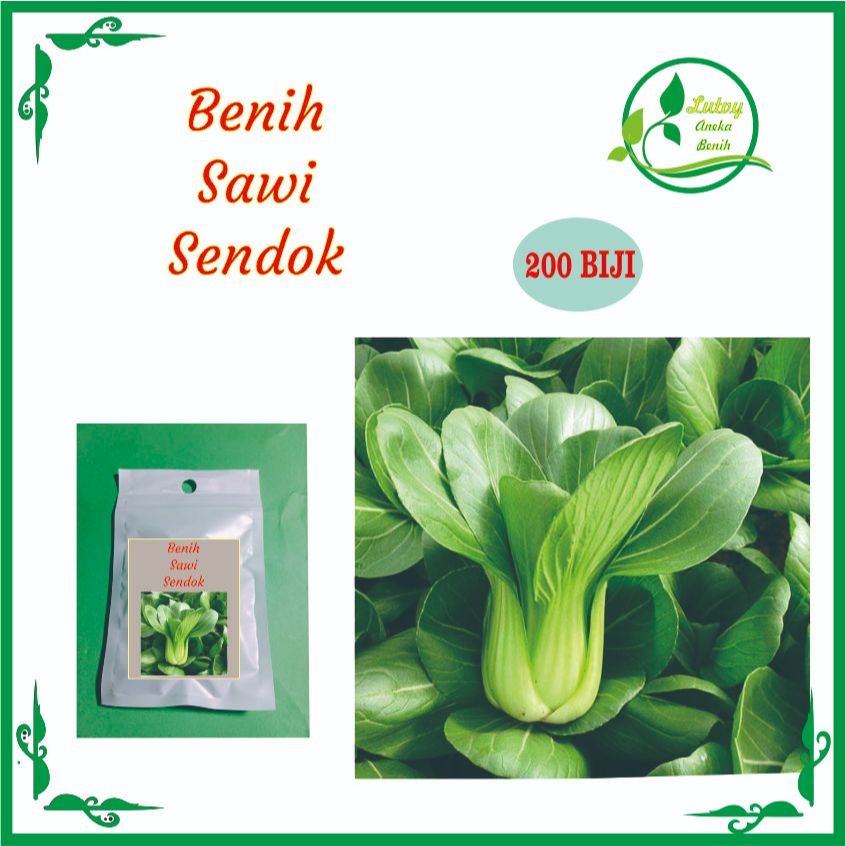 Jual BENIH SAWI SENDOK ISI 200 BIJI | Shopee Indonesia