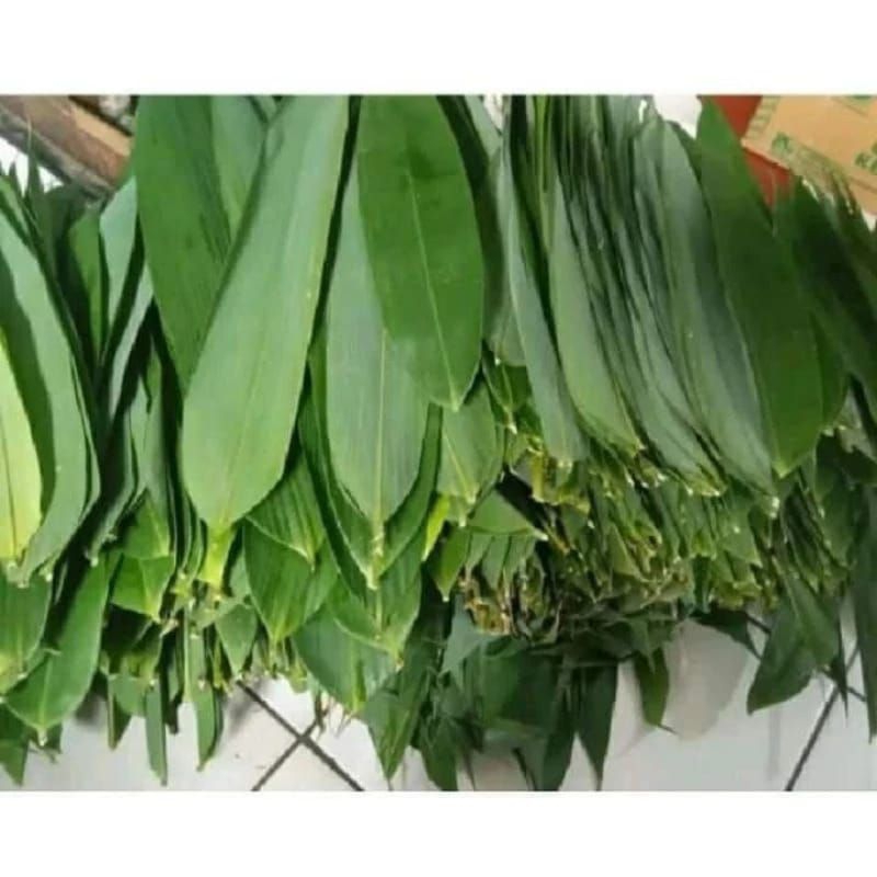Jual Daun Bambu | Shopee Indonesia