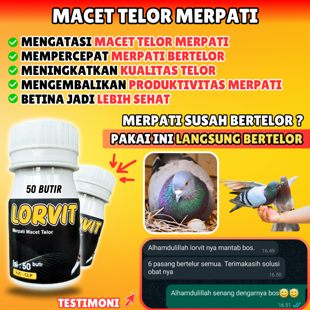 Jual 𝗠𝗔𝗖𝗘𝗧 𝗧𝗘𝗟𝗢𝗥 𝗠𝗘𝗥𝗣𝗔𝗧𝗜 !! LORVIT | Shopee Indonesia