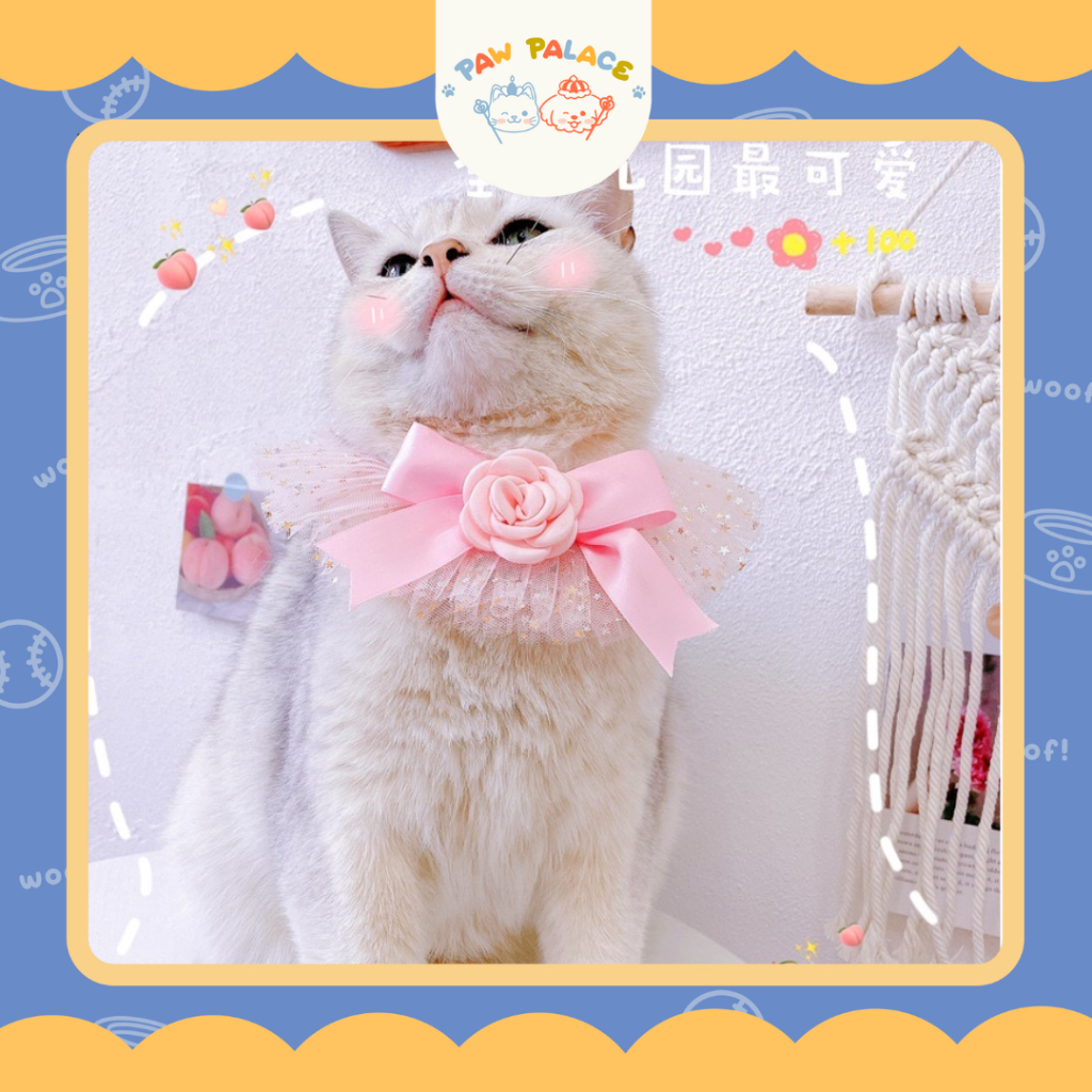 Jual Kalung Pita Kucing Anjing Aksesoris Hewan Peliharaan | Shopee ...