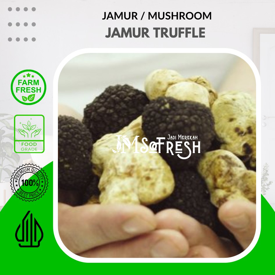 Jual [JM_SoFresh] Jamur Truffle / Jamur Truffle Hitam / Jamur Truffle ...