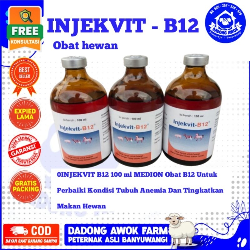 Jual INJEKVIT B12 100 ml MEDION Obat B12 Untuk Perbaiki Kondisi Tubuh ...
