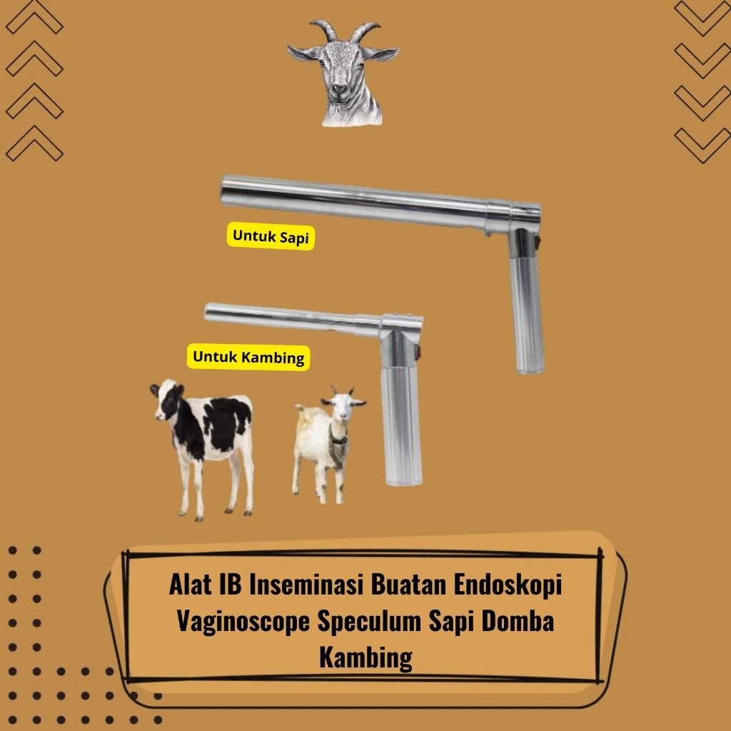 Jual Endoskopi Vaginal Speculum Sapi Domba Kambing Alat Inseminasi Buatan | Shopee Indonesia