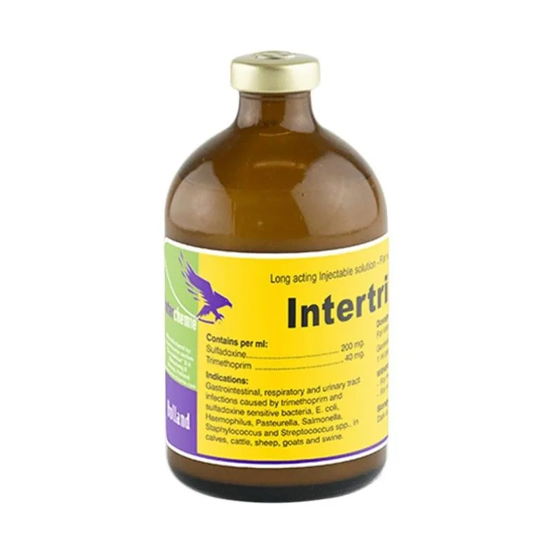 Jual interchemie Introvit B Complex Anti Stress dan Meningkatkan Nafsu ...