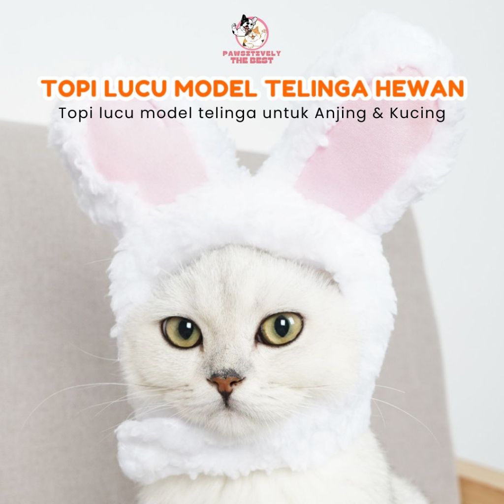 Jual TOPI KUCING MODEL TELINGA KELINCI - Topi Karakter Lucu Untuk ...