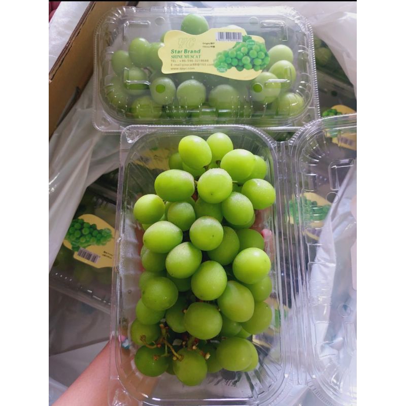 Jual BUAH ANGGUR | Anggur Shine Muscat pack | Muscat pack dibandung ...