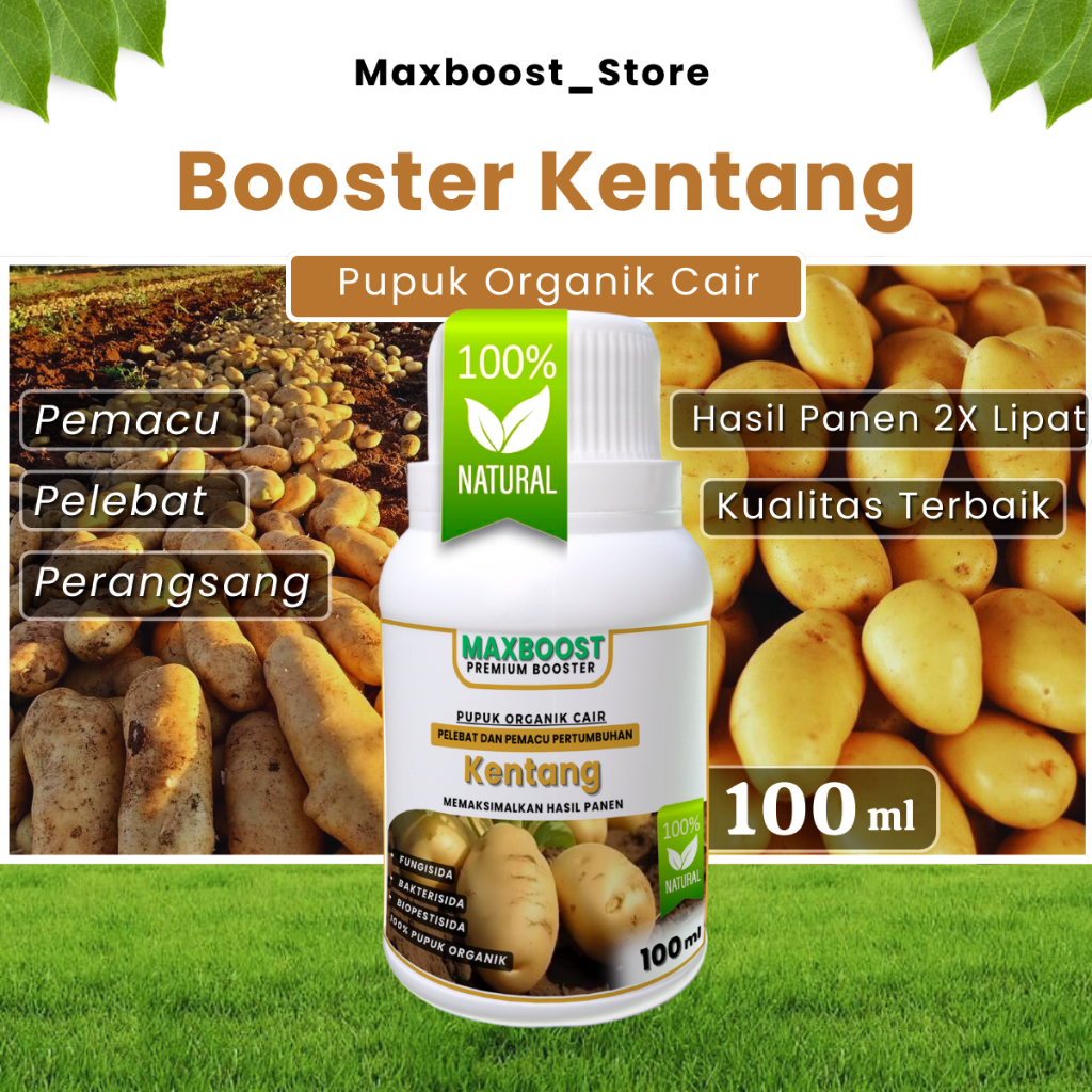 Jual Pupuk Organik Cair Tanaman Kentang, Booster Cair Kentang, Poc ...