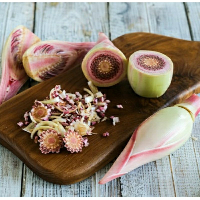 Jual Bunga Kecombrang | Honje | Shopee Indonesia