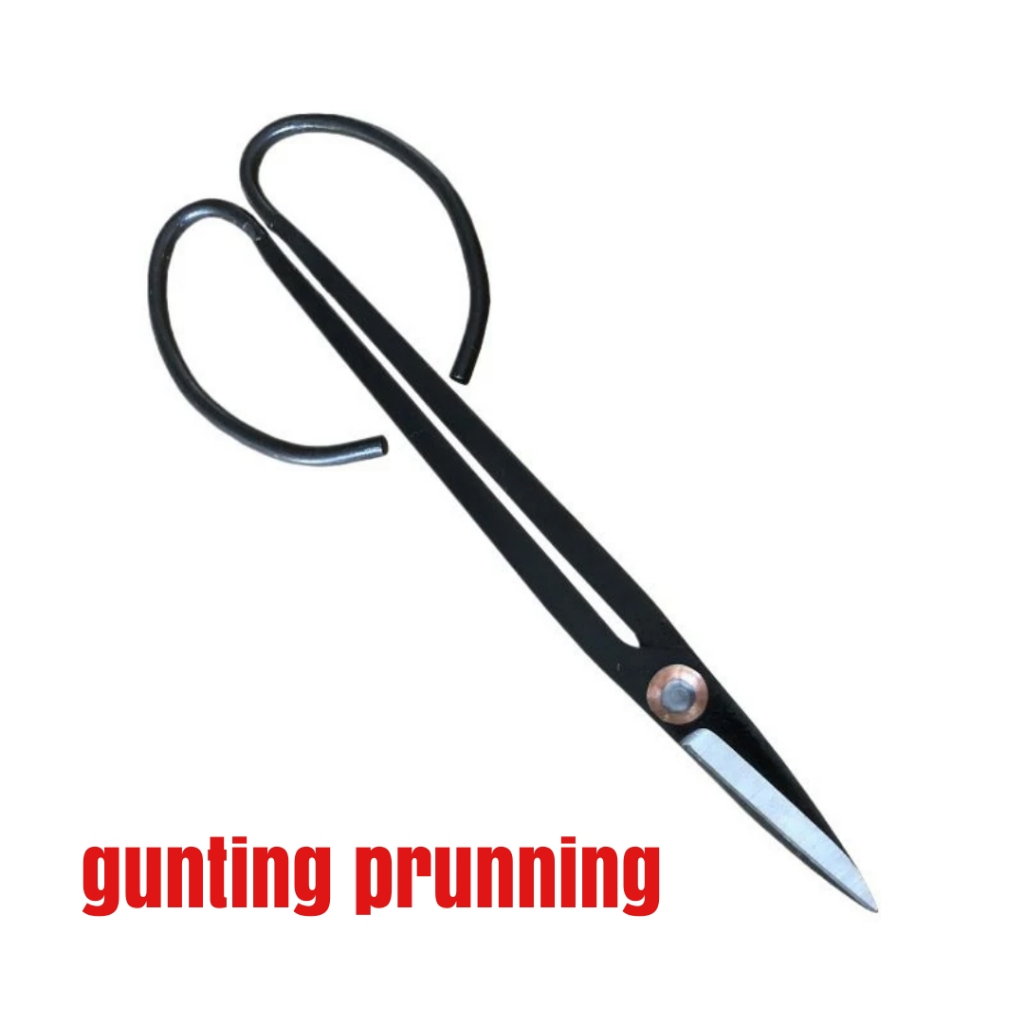 Jual Gunting PEMANGKAS TANAMAN BONSAI BUNGA BAJA CARBON IMPORT gunting ...