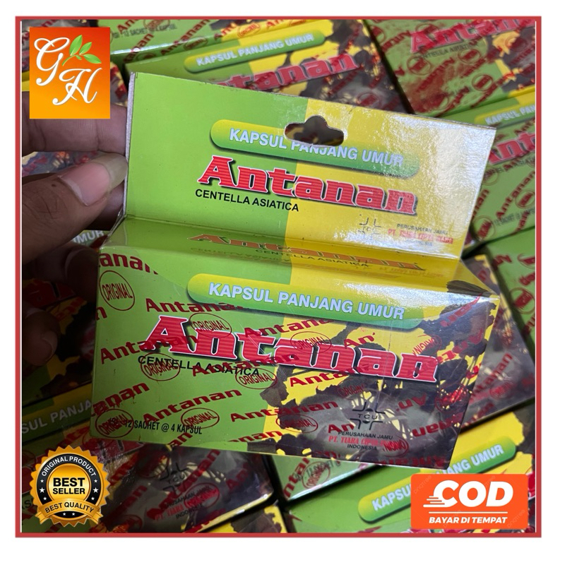 Jual Kapsul Antanan Ori, 100% Original - kapsul obat panjang umur ...