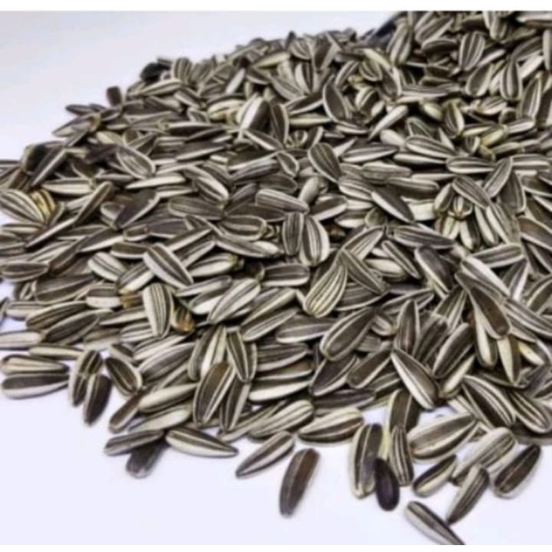 Jual Kuaci Hitam Super 500gr Makanan Burung Kaka Tua,Hamster,Gerbil ...