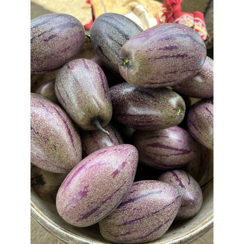Jual Buah Pepino/buah put 1kg khas ciwidey | Shopee Indonesia