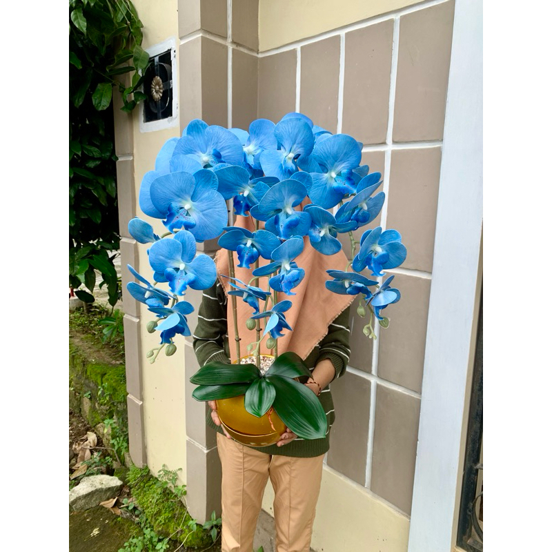 Jual ANGGREK LATEK JUMBO 3 CABANG / VAS BUNGA AESTHETIC/ RANGKAIAN ...