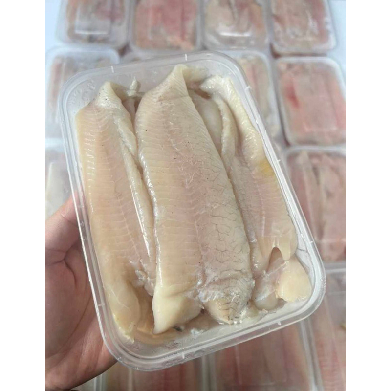 Jual Ikan Gabus Fillet 500 Gram | Shopee Indonesia
