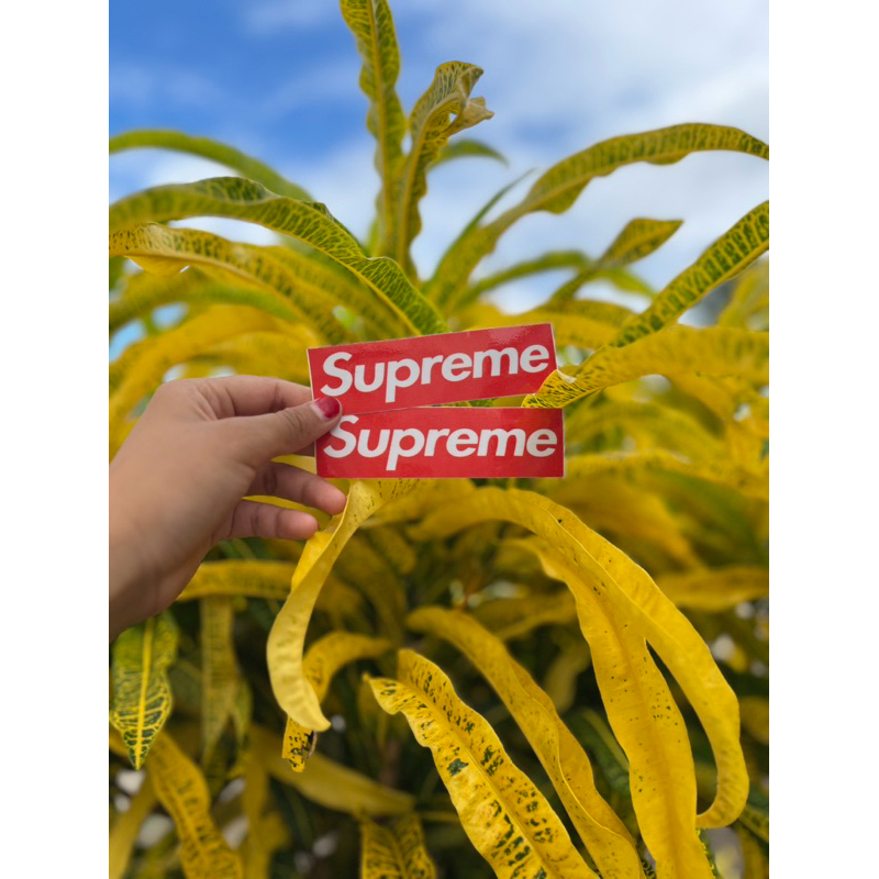 Jual stiker supreme | Shopee Indonesia