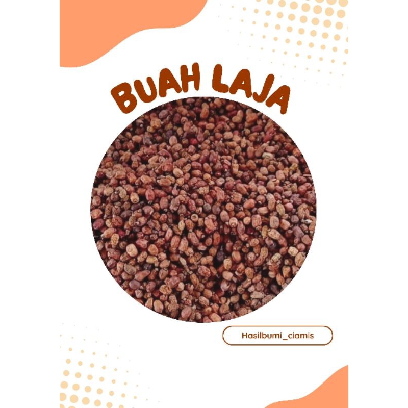 Jual buah laja / bunga laos kering / rempah kering / kemasan 500 gr ...