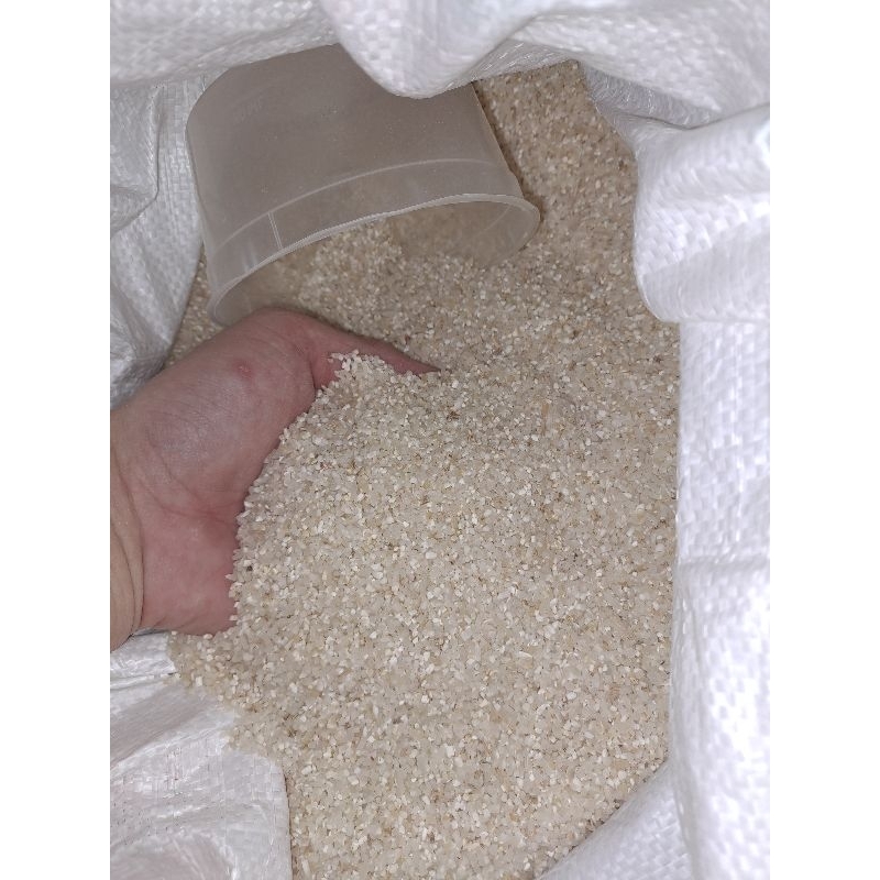 Jual Beras Menir beras patah murah bagus bersih bisa untuk pakan ternak ...