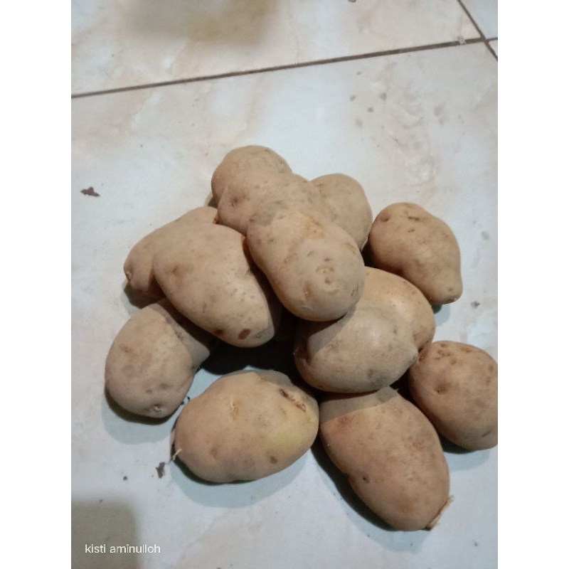 Jual kentang ukuran sedang 1kg | Shopee Indonesia