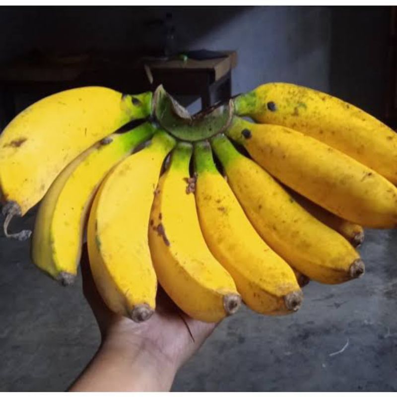 Jual Buah Pisang Raja Segar 1kg/ Pisang Fresh Kualitas Super | Shopee ...
