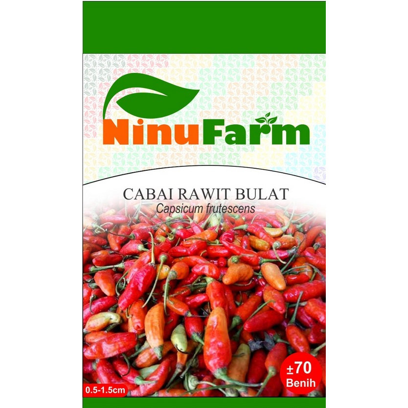 Jual BENIH CABE RAWIT - CABE RAWIT BULAT - NINUFARM - 70 BUTIR | Shopee ...