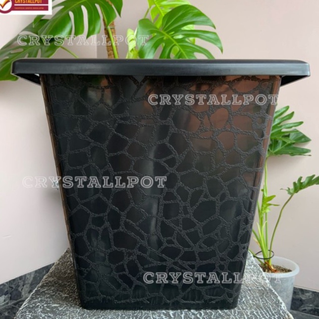 Jual Pot Besar Tanaman Hias Bunga Buah Kotak Hitam Merah Putih 4 45 ...