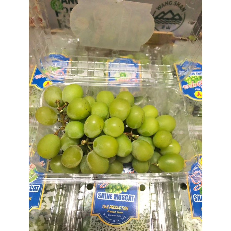 Jual Anggur shine muscat yuji berat 500 grm / pack | Shopee Indonesia