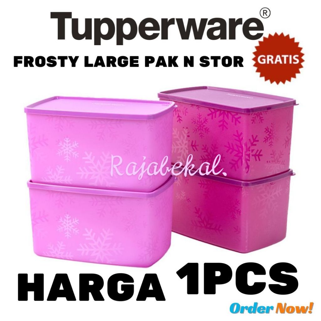 Jual PROMO Tupperware Frosty Large Pak N Stor ECER 1pcs | Shopee Indonesia