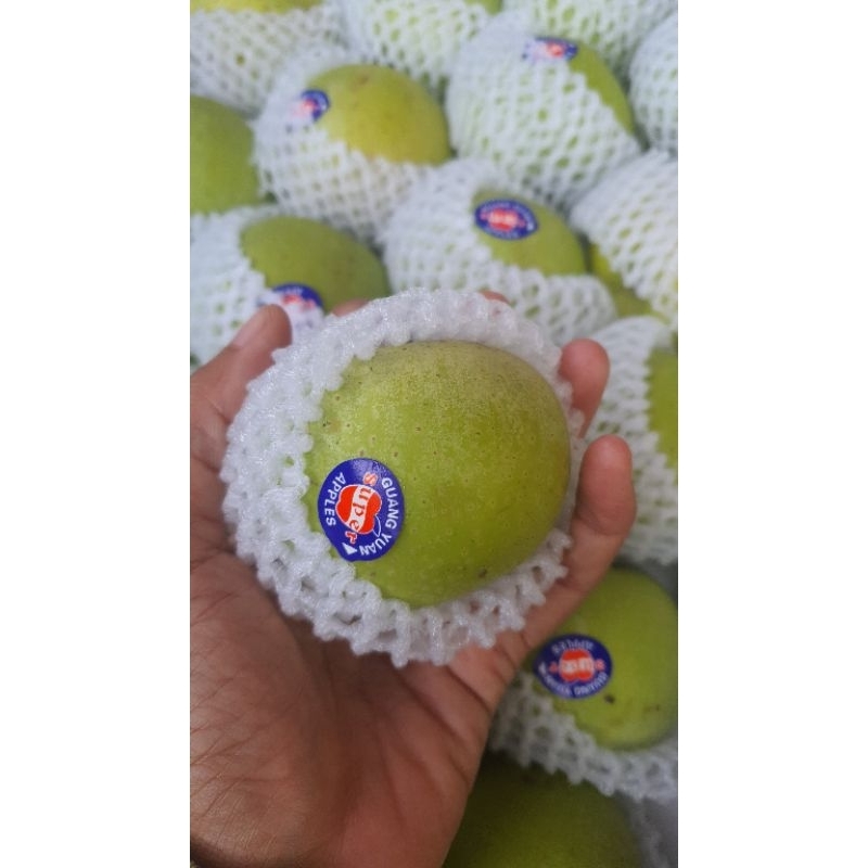 Jual Apel Hijau RRC 1kg | Shopee Indonesia