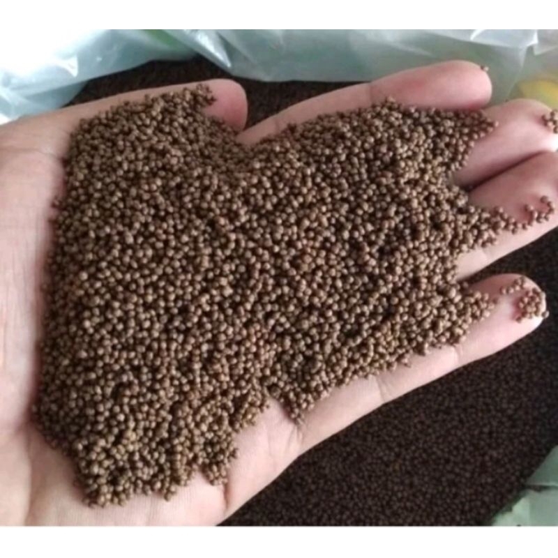 Jual pf1000 pakan benih ikan lele gurami patin 10kg | Shopee Indonesia
