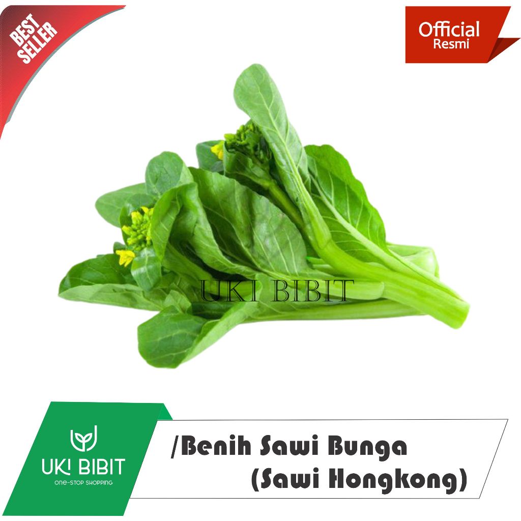 Jual ( 100 Butir ) Benih Biji Sawi Bunga | Sawi Hongkong | Shopee Indonesia