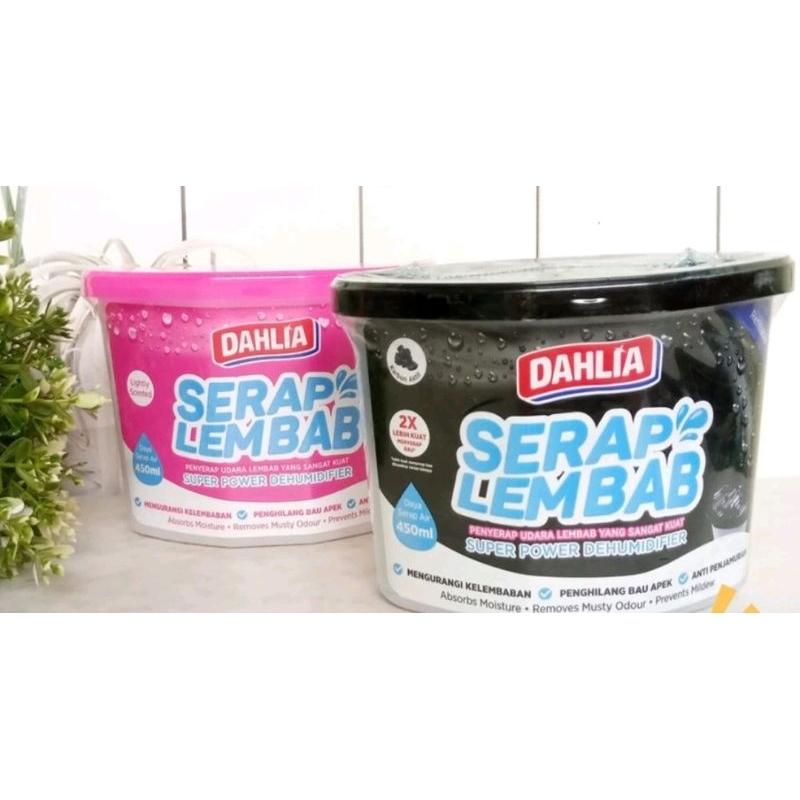 Jual Dahlia serap lembab | Shopee Indonesia