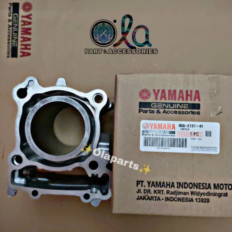 Jual Blok Silinder Cylinder YAMAHA Xmax 250 ( BG6-E1311-01 ) | Shopee ...