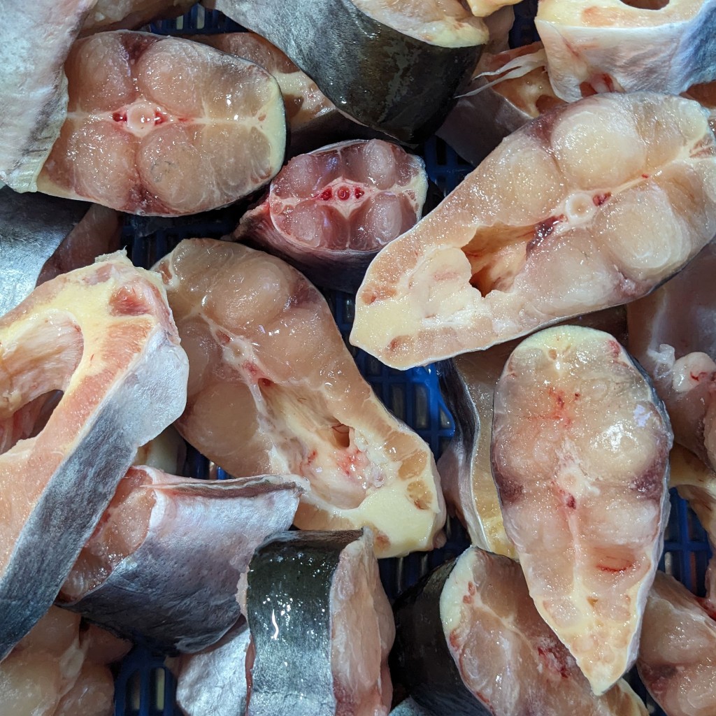 Jual Steak Patin Premium Fresh Tanpa Kepala & Ekor | Shopee Indonesia