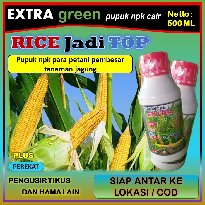Jual Pupuk tanaman jagung npk cair lengkap ( EKTRA GREEN RICE jadi TOP ) 500 ml - pupuk pembesar ...