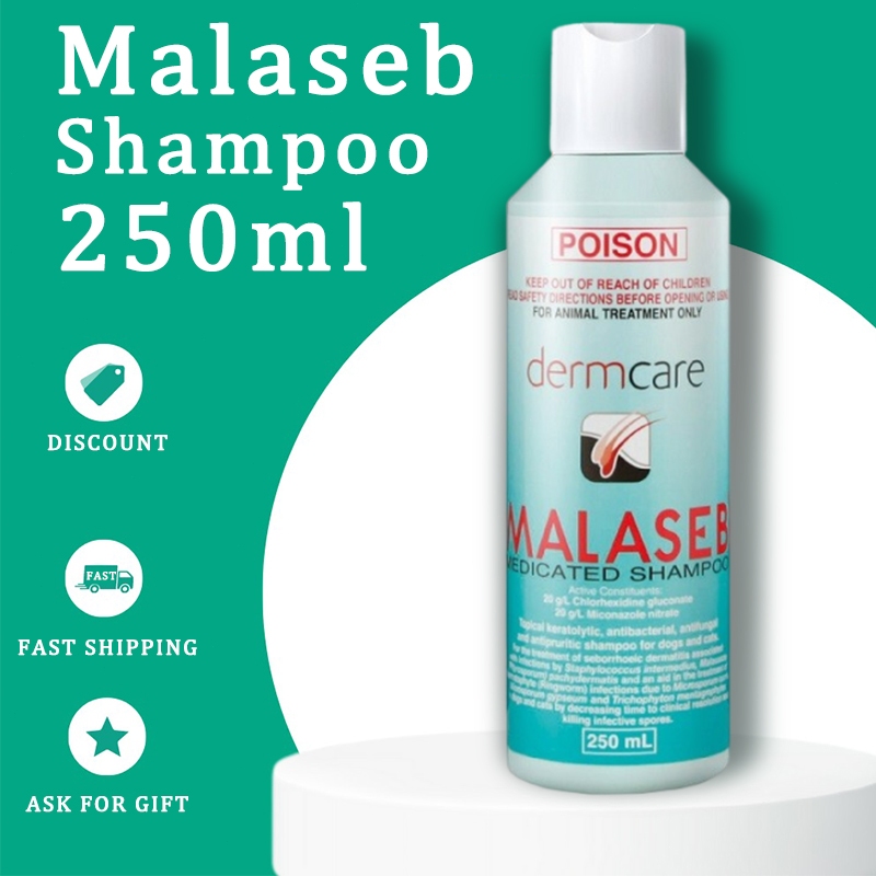 Jual 250ml Malaseb Dermcare Medicated Shampoo Anti Scabies Jamur Fungal ...